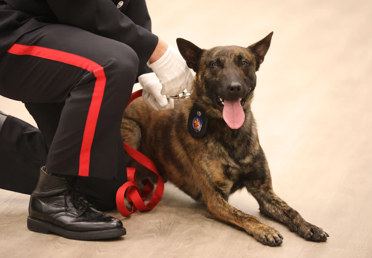 Context for the Strategic Plan